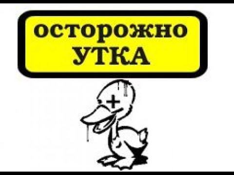 Намедни Елену снова понесло!