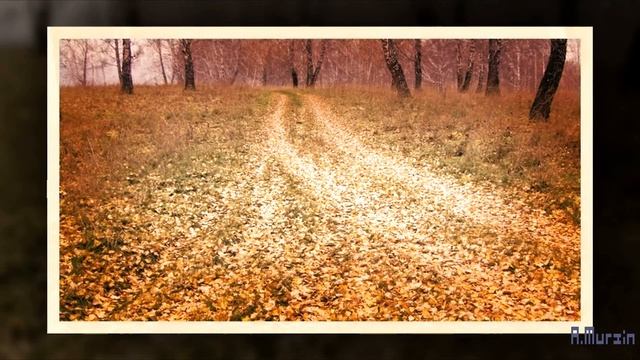 Aleksey Chistilin - The Feeling of Fly