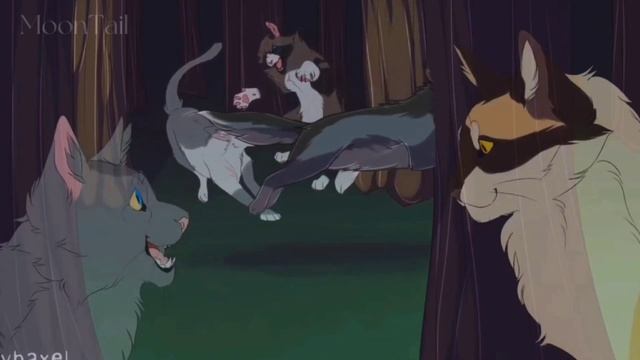 Гусохвост/Клип/Коты воители/