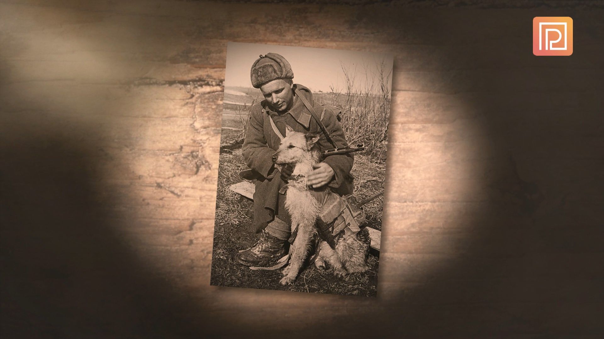 Документальный фильм: "СИТ. Собаки-истребители танков"