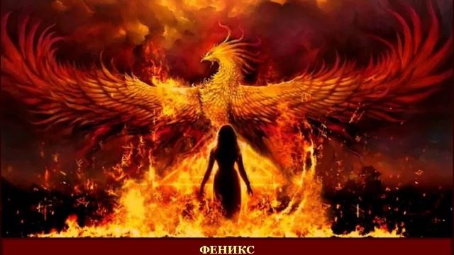 ФЕНИКС. Автор Диана Светлая Ом.