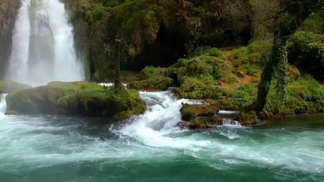 8/7- Пусть песнь льется рекой.