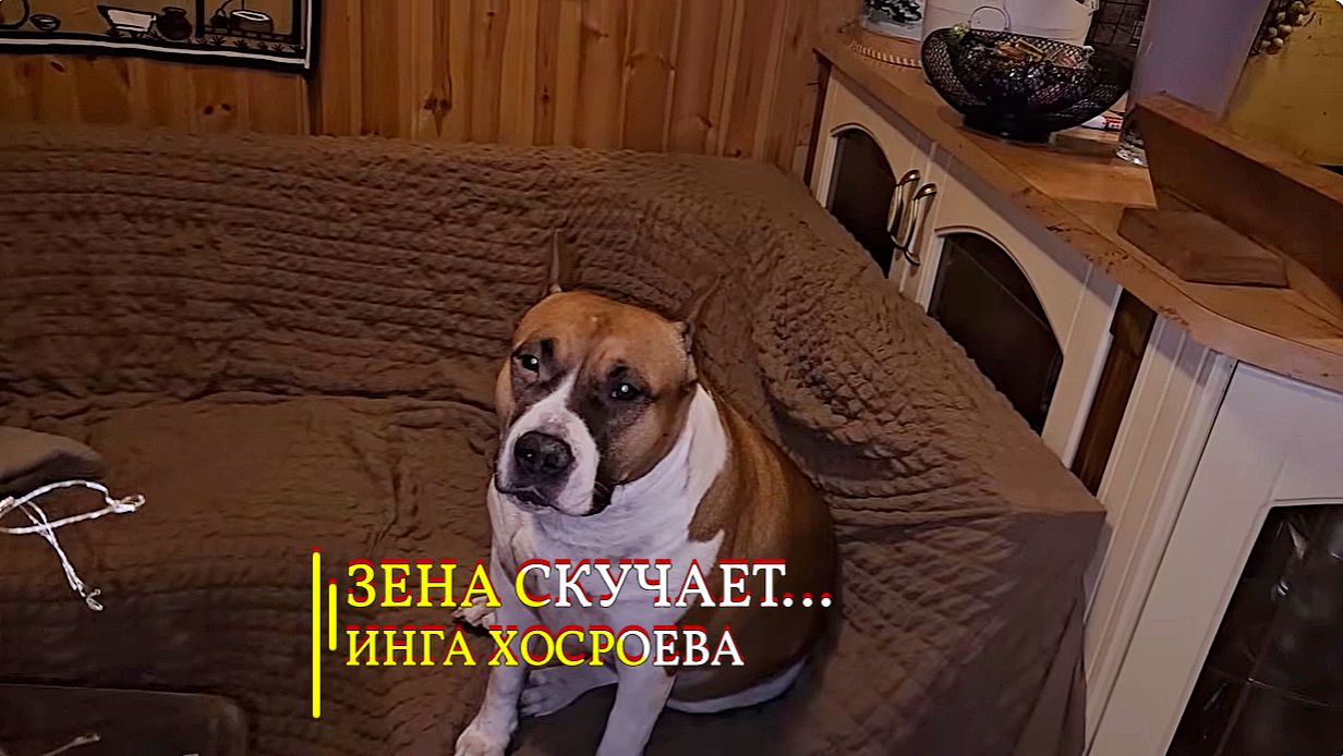 ЗЕНА СКУЧАЕТ...