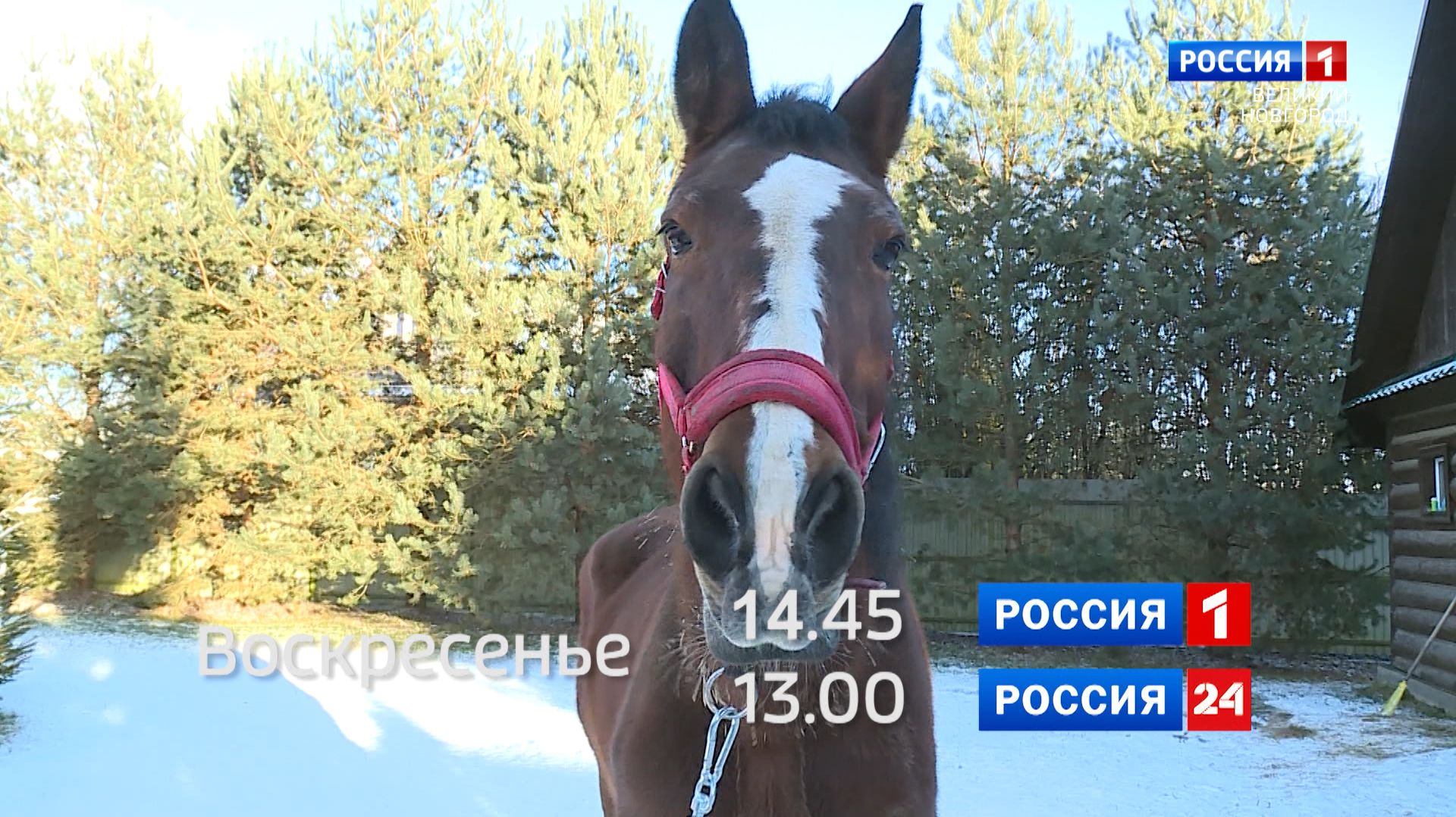 ГТРК СЛАВИЯ Анонс Вести за неделю 26.12.25