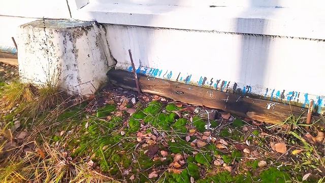 Яркие подтеки краски