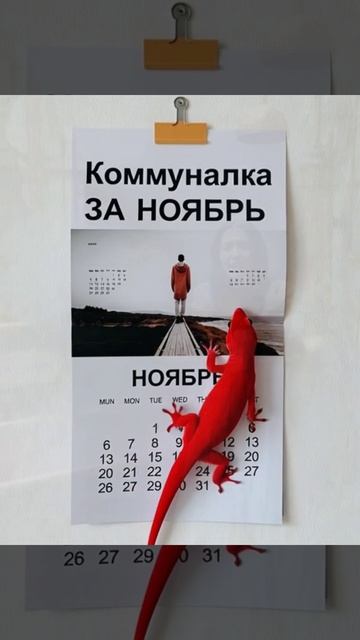 Комуналка за ноябрь