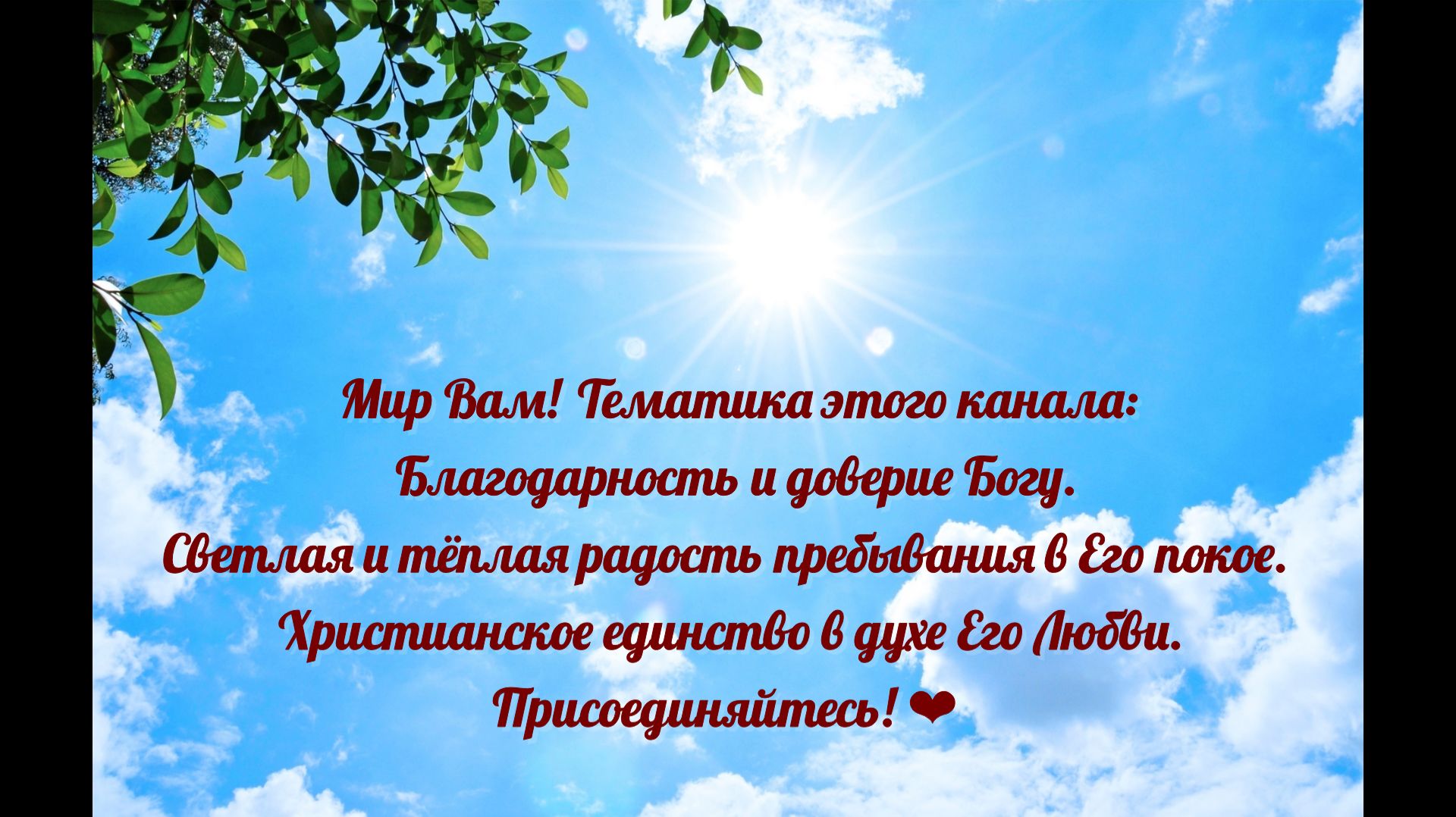 О нас. Видео - приветствие.