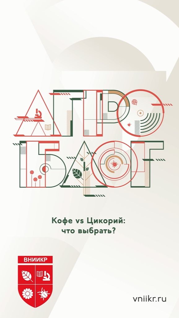 Кофе или цикорий: что выбрать?