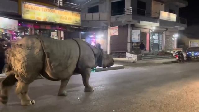 "Не бойтесь поношения от людей, и злословия их не страшитесь.." / Исаия 51:7