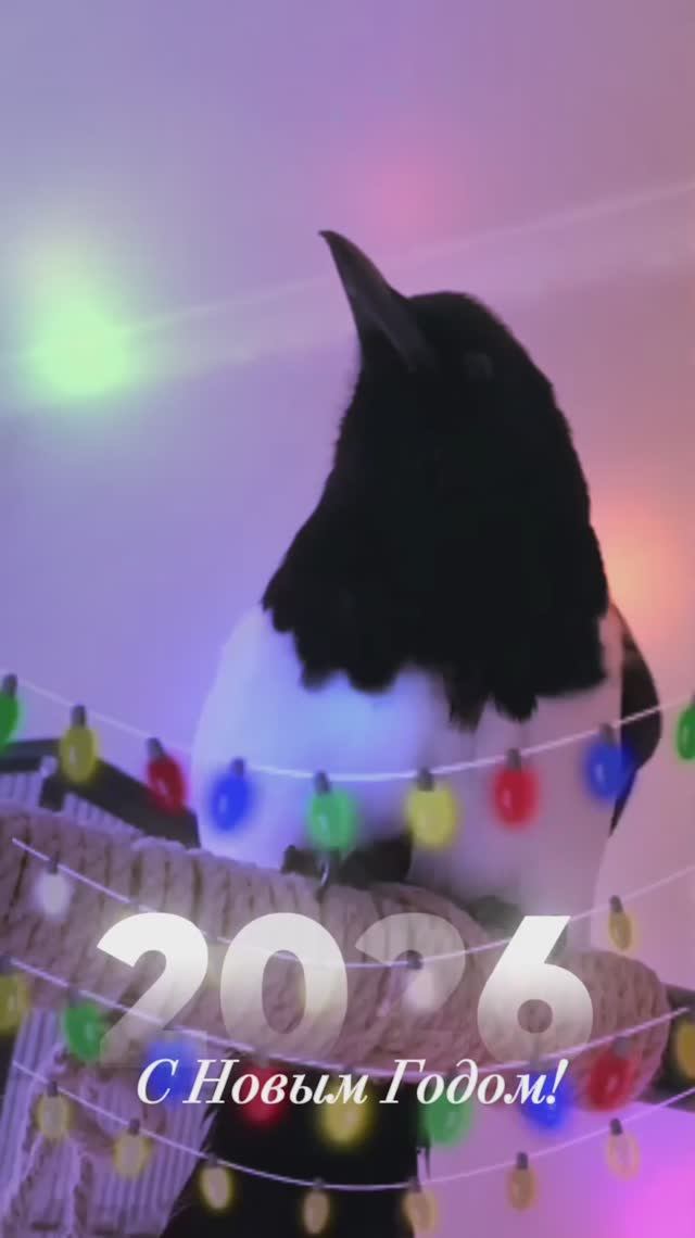 ❄️🎄 Весёлых Новогодних!