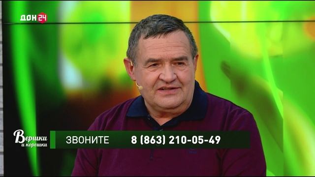 Вершки и корешки 25.12.2025 - С Новым годом!