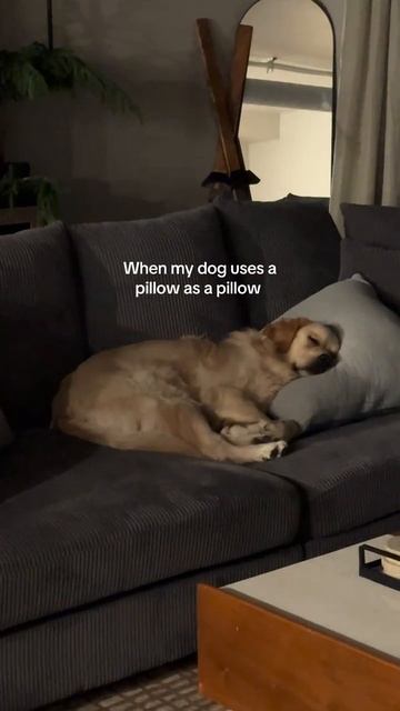 Как же ему удобно