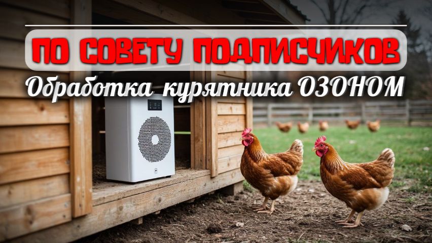 Обработка курятника ОЗОНОМ уничтожает грибок, плесень, грызунов и запахи