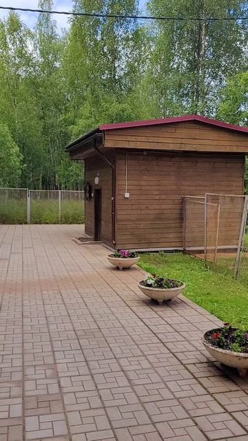 Карелия 2025. Марциальные воды. Июль 2025г (Часть 2)