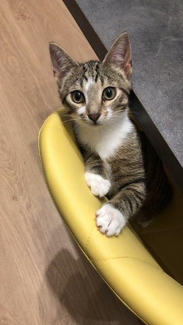 Милаха Титус😽