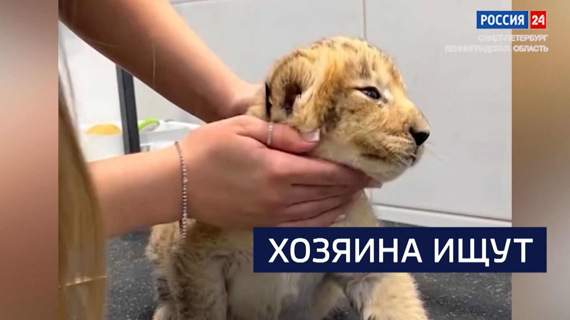 ВЕСТИ 24 Санкт-Петербург от 26.12.2025