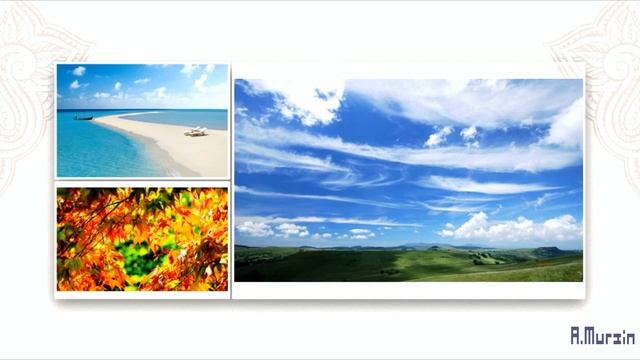 Aleksey Chistilin - Stop Motion