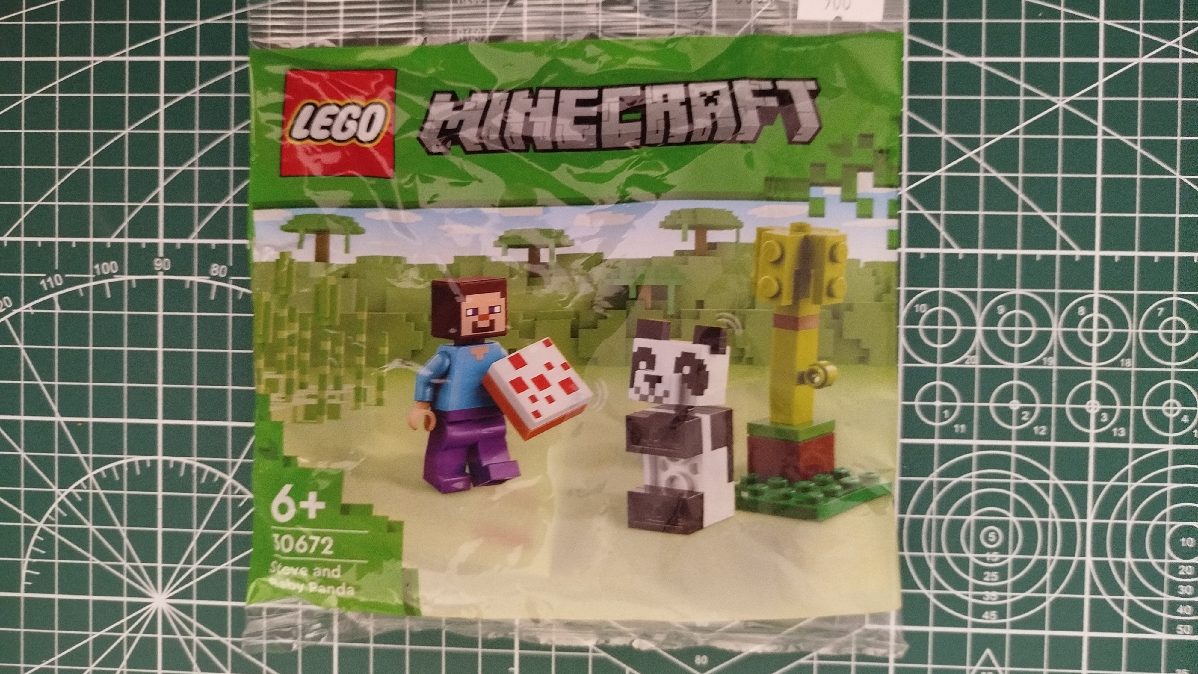 Steve and Baby Panda