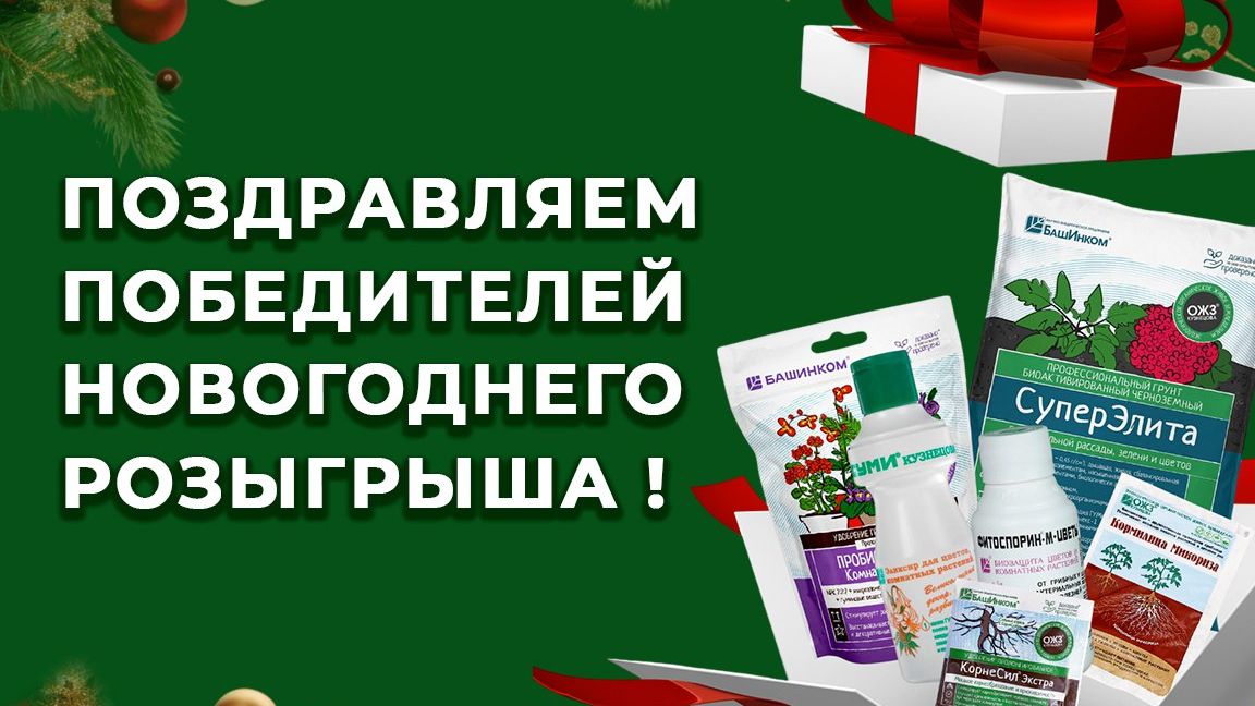 ПОБЕДИТЕЛИ РОЗЫГРЫША 26.12