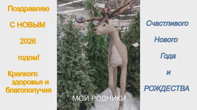 С Новым Годом 2026 ! Друзья. ПОГУЛЯЕМ. Это не реклама