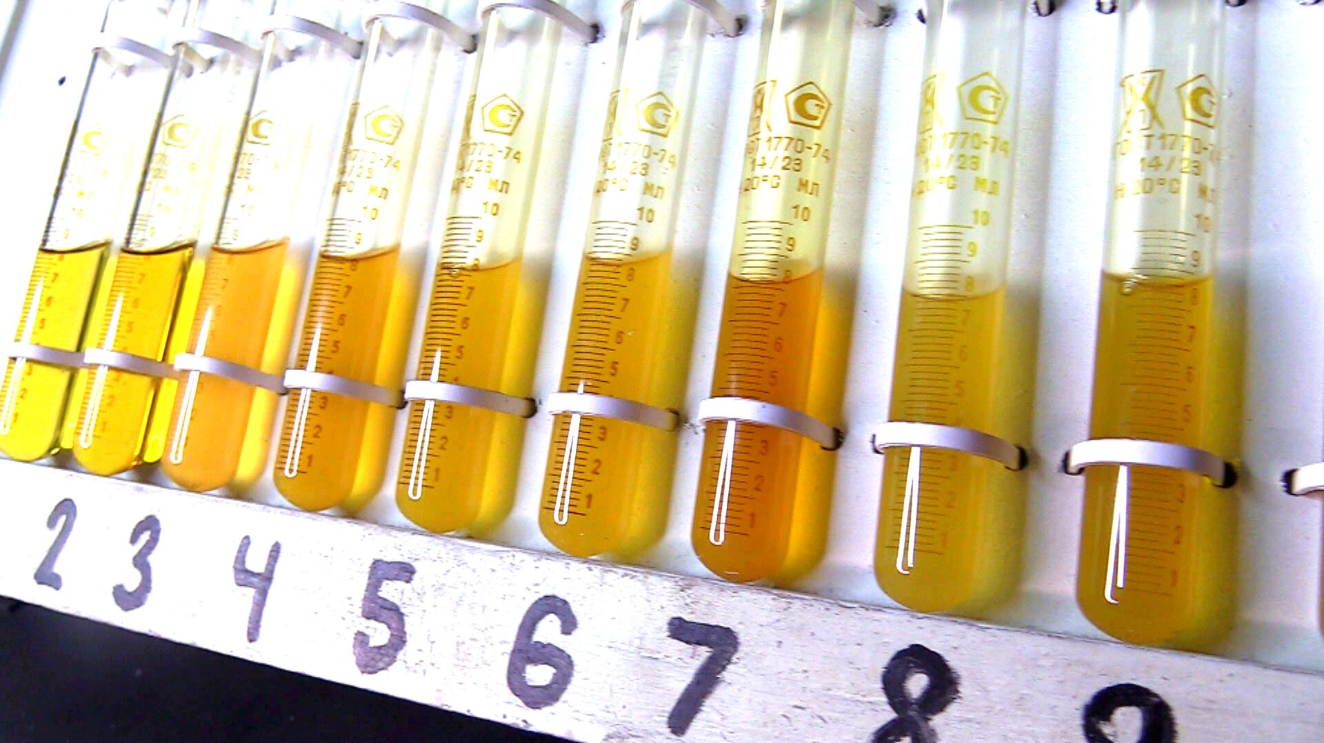 Сейчас мы знаем какое моторное масло лучше заливать!