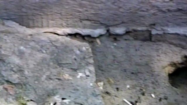 2000 год. Тюмень. Крысы терроризируют жилой дом