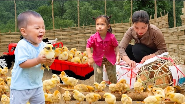 Ловим рыбу и измельчаем кукурузу вручную для продажи. Торговля на рынке и хозяйство. Дуонг