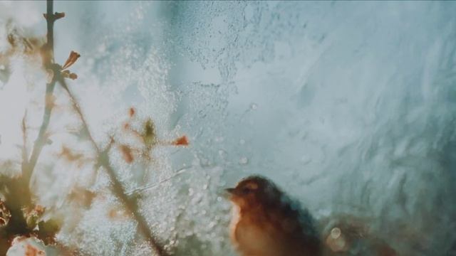 Пронзительный звонок ...