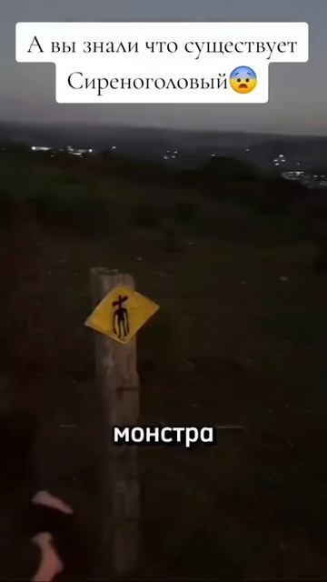 что ты такое