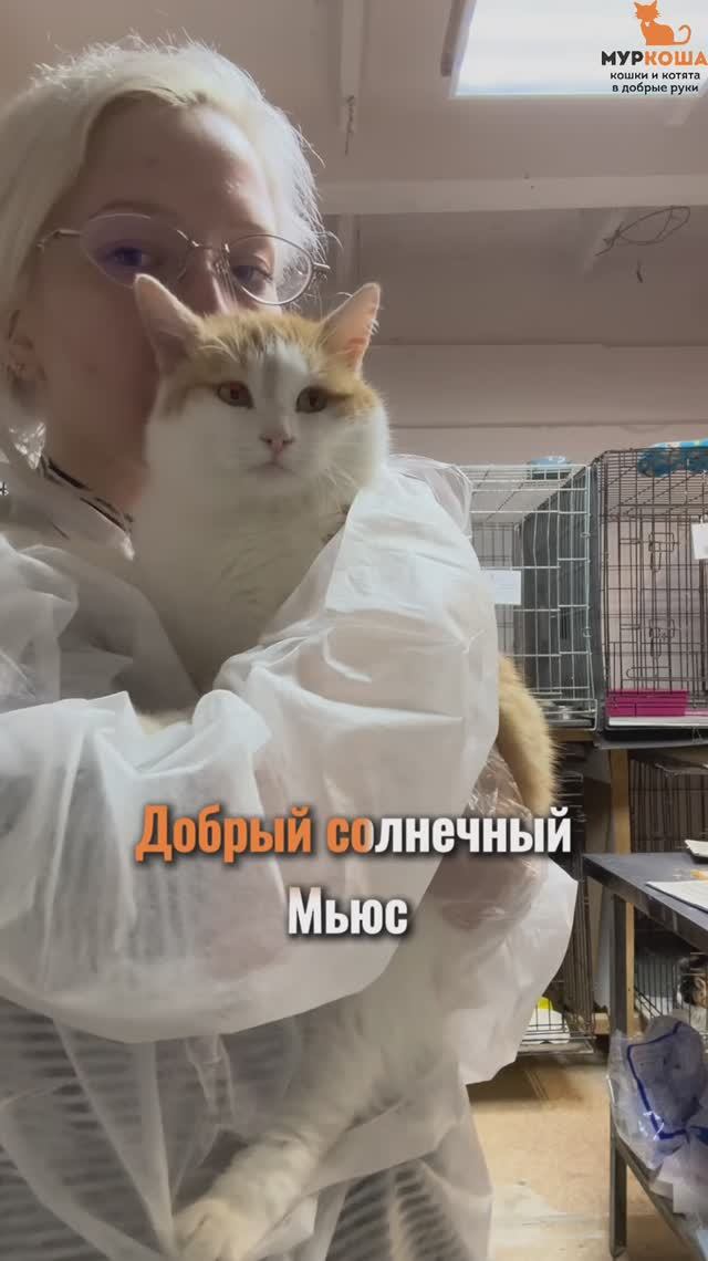 Мьюс (уже дома)