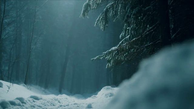 «Серебряная тропинка»