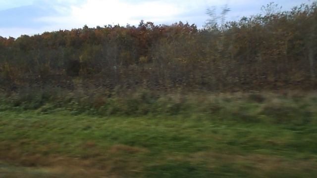 DSCN4806ГУАМСКОЕ УЩЕЛЬЕ ОСЕНЬ 2021 ГОД