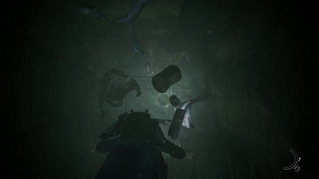 The Last of Us Part I #19 Лето, птички поют и грибочки бегают