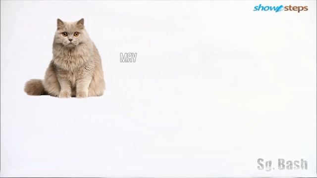 [ПЕРЕЗАЛИВ] Кокосовый | RYTP