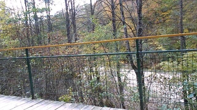 DSCN4814ГУАМСКОЕ УЩЕЛЬЕ ОСЕНЬ 2021 ГОД