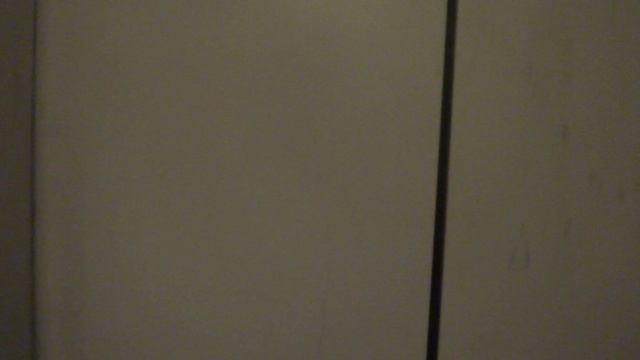 Пассажирский лифт V=0,71 м-с, Q=320 кг (5286)