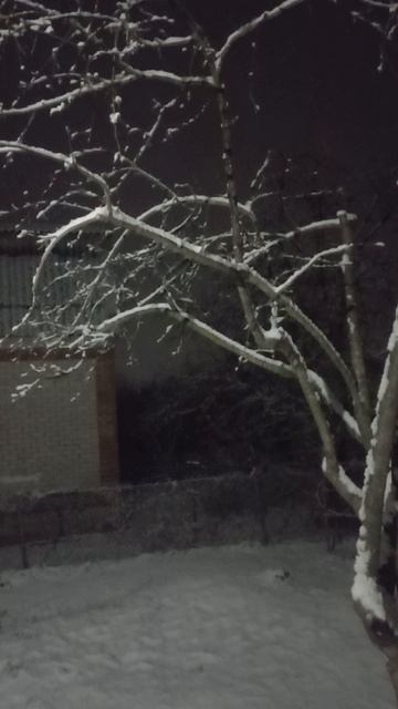 Третий снег в 2025 году