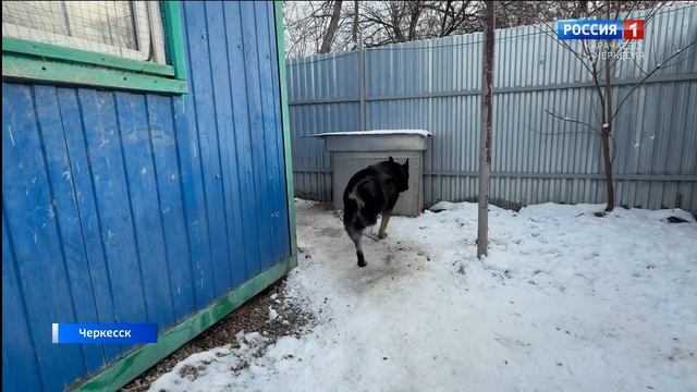 Утро России. Карачаево-Черкесия 26.12.2025