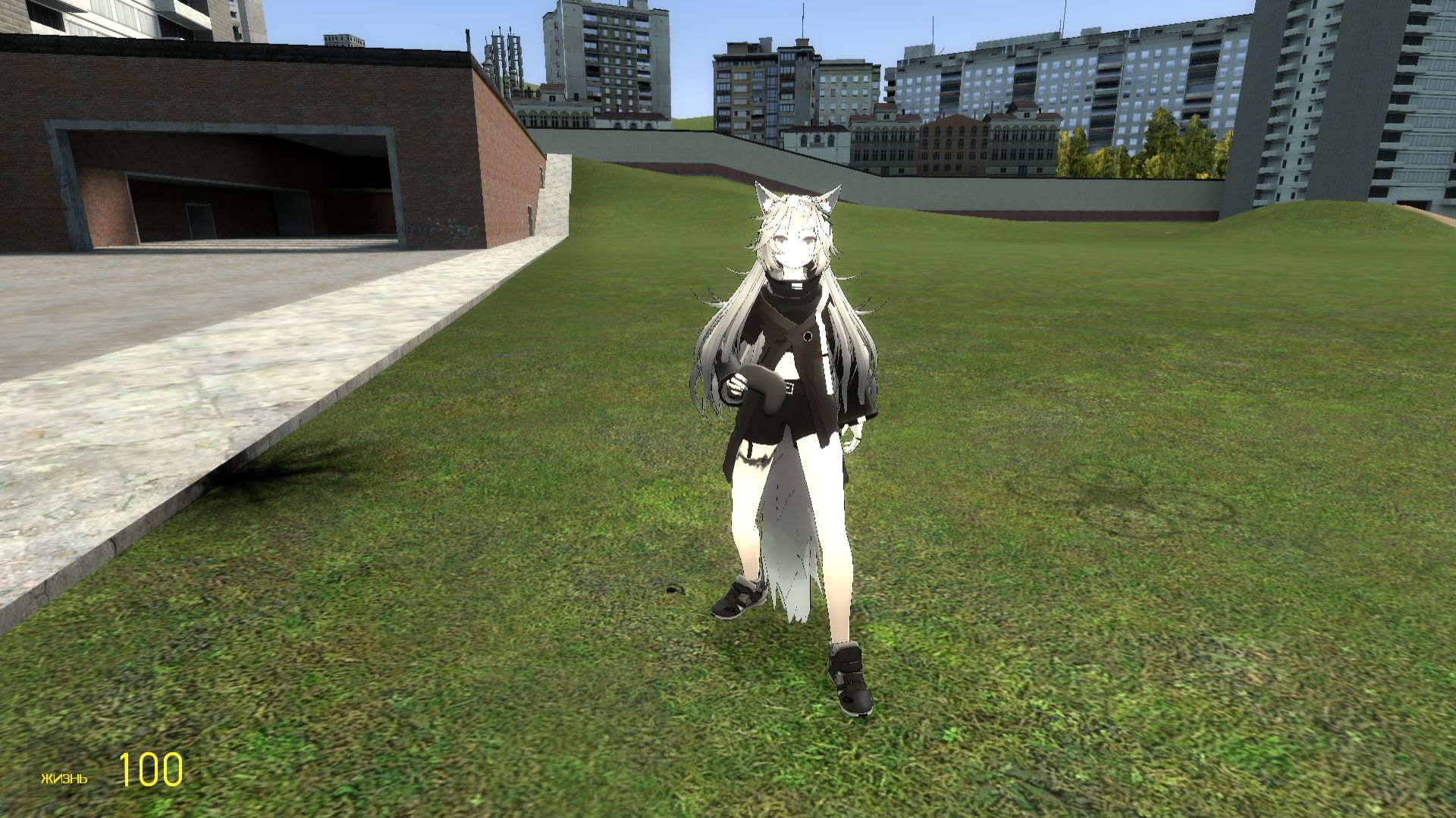 играю в garry s mod