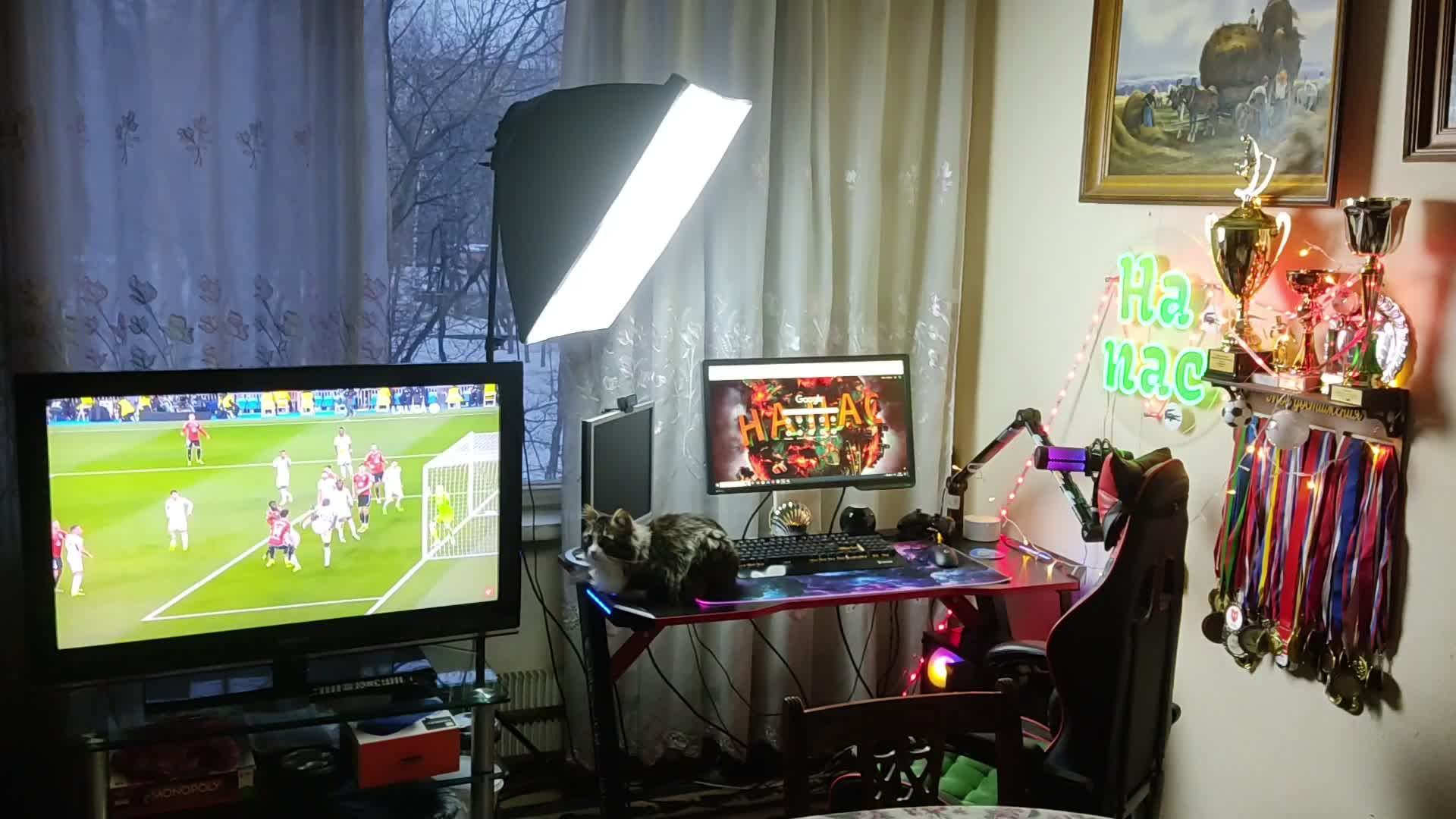 Вечерний стрим | Дикие болота