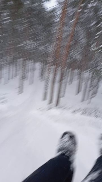 с новым годом