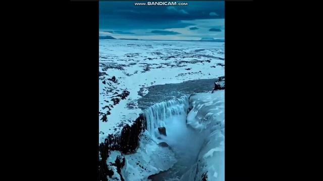 Где-то на далекой планете Земля