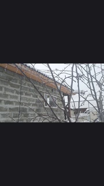 Прекрасные стихи