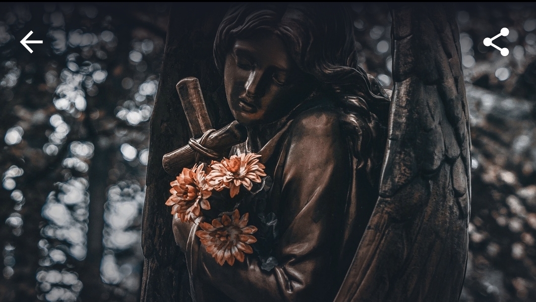 Тетрадь часть первая конец