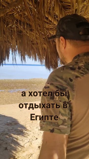 Куда меня приводят мечты