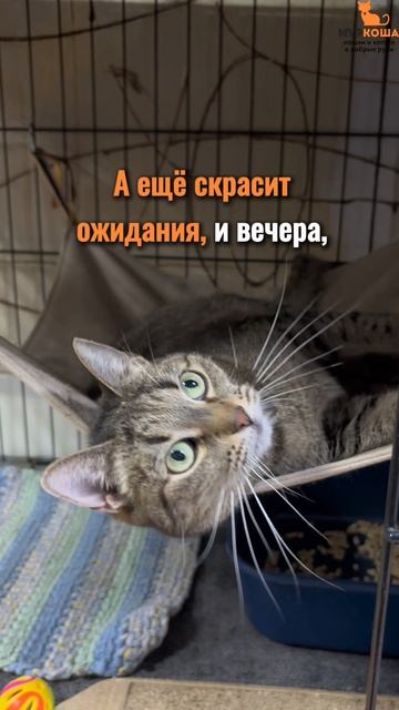 Валенсия (уже дома)