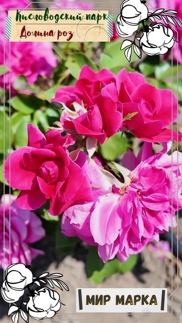 Долина Роз в Кисловодске