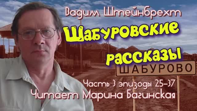 Вадим Штейнбрехт _Шабуровские рассказы_ 3 часть эпизоды 25-37 Читает Марина Багинская