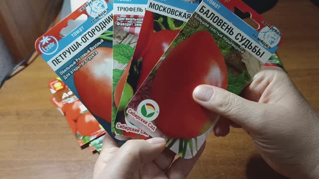 Обзор семян томатов для теплиц на новый сезон