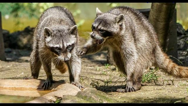 Инопланетяне есть